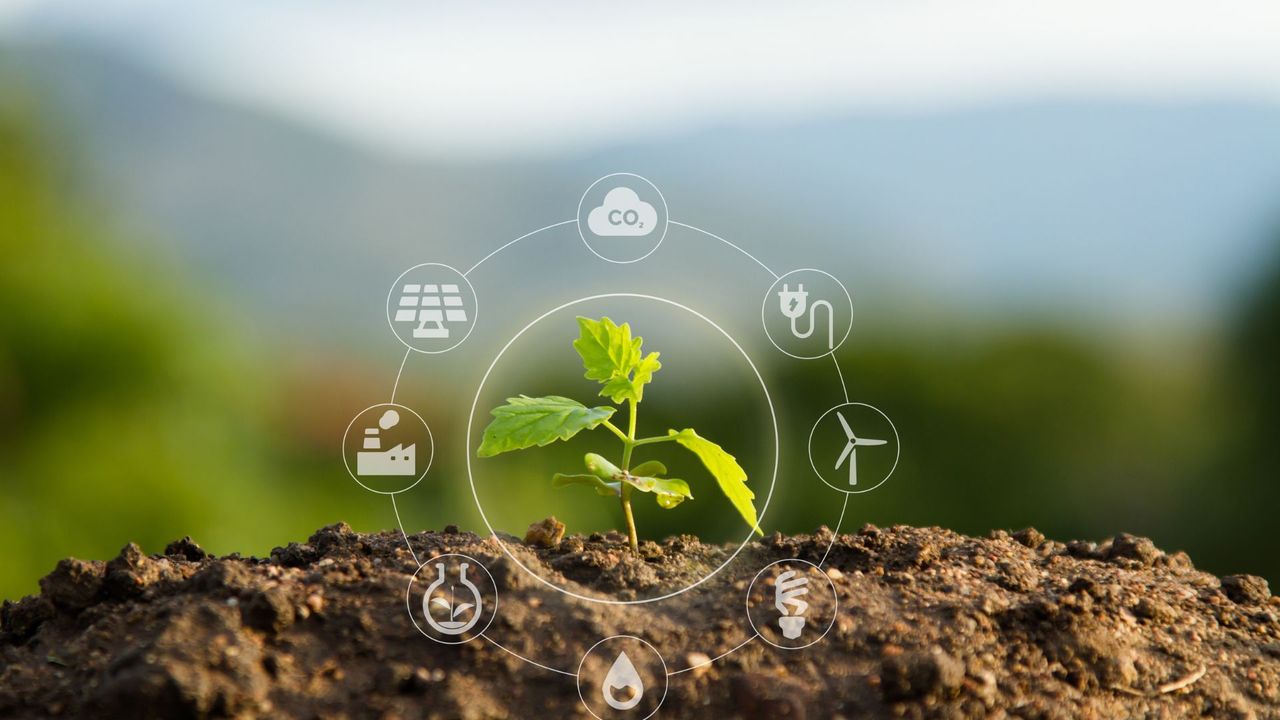 Aon publishes 2025 climate & catastrophe report | Captive International